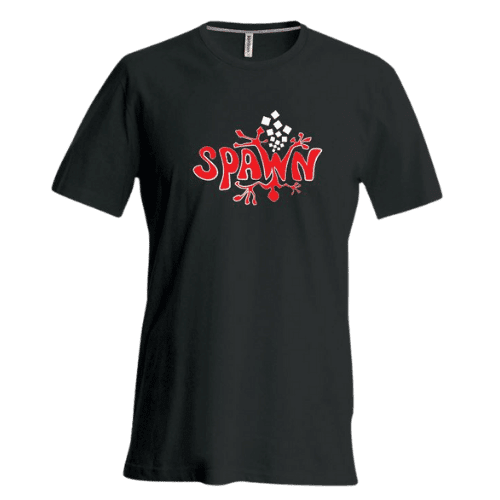 Ska Punk band SPAWN - van Achterhoekse bodem